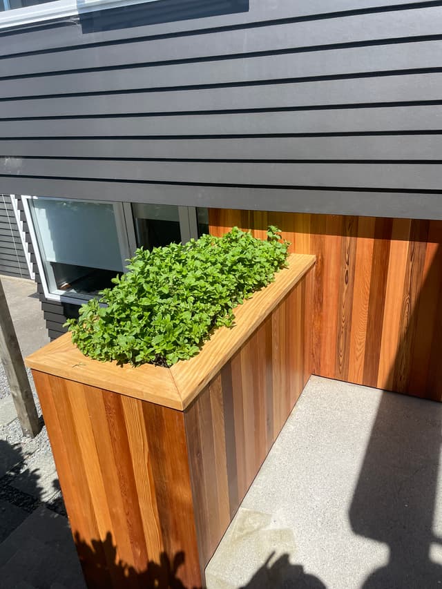 Kauri Point Construction